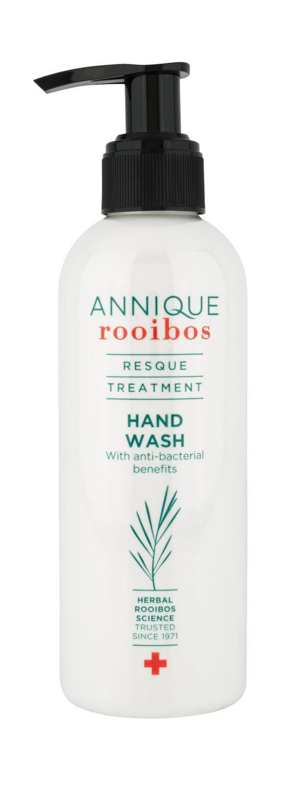 Resque Introduction – Annique Learning Academy